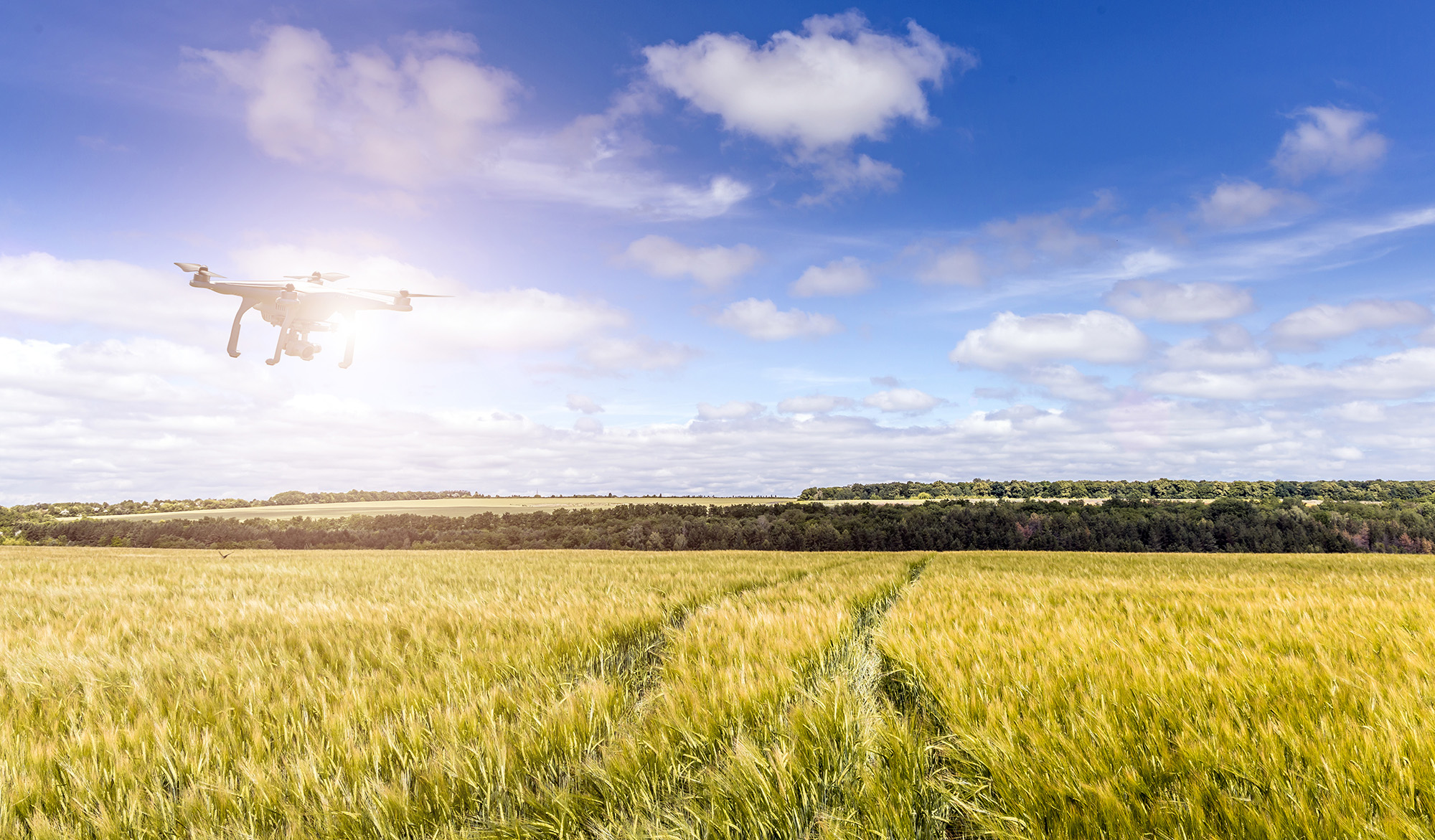 Bring Your Content to Life | Seed World Group